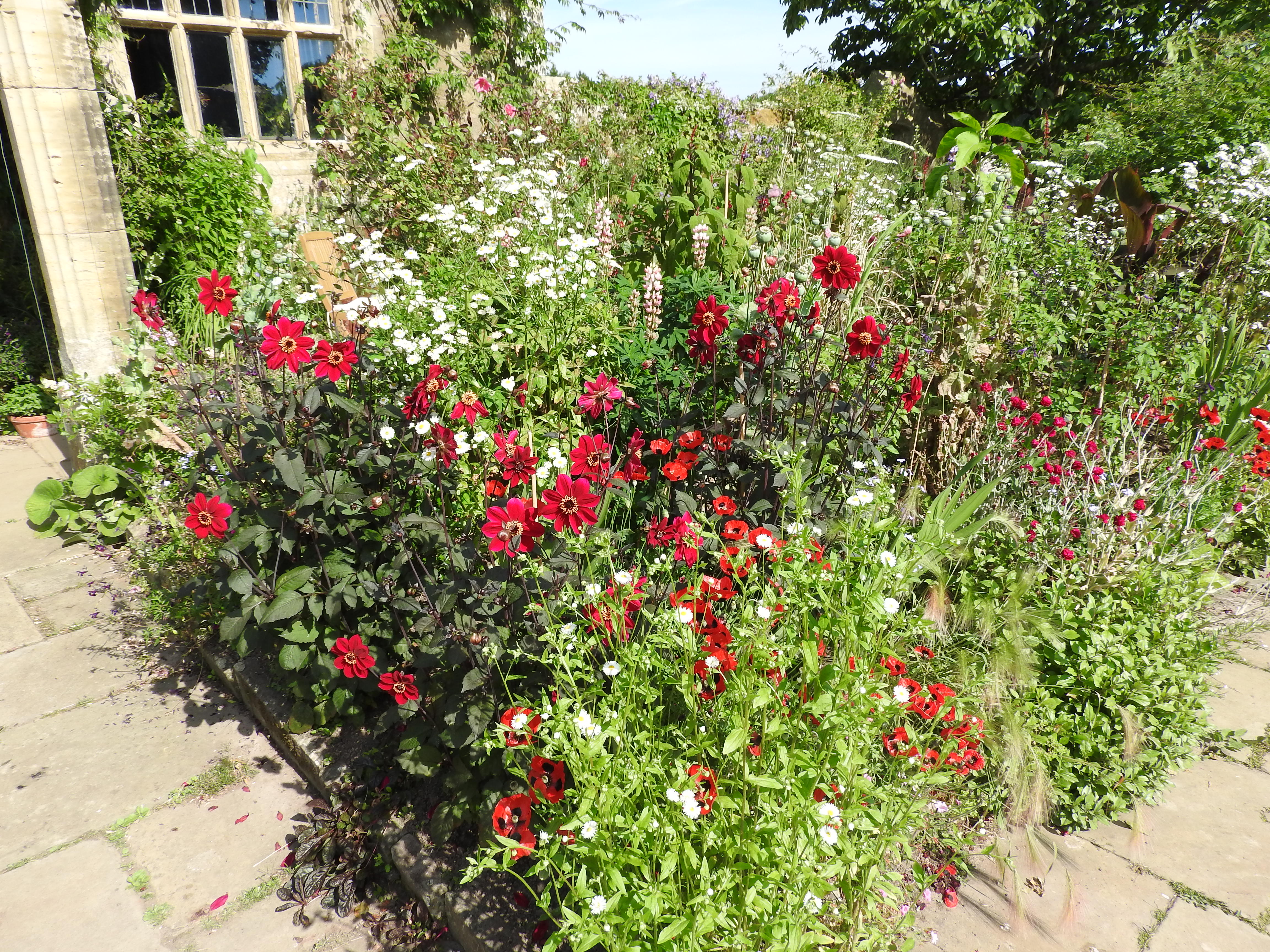 Which Latin phrase is it? ‘Non sequitur’ or ‘sine qua non’ – Garden ...